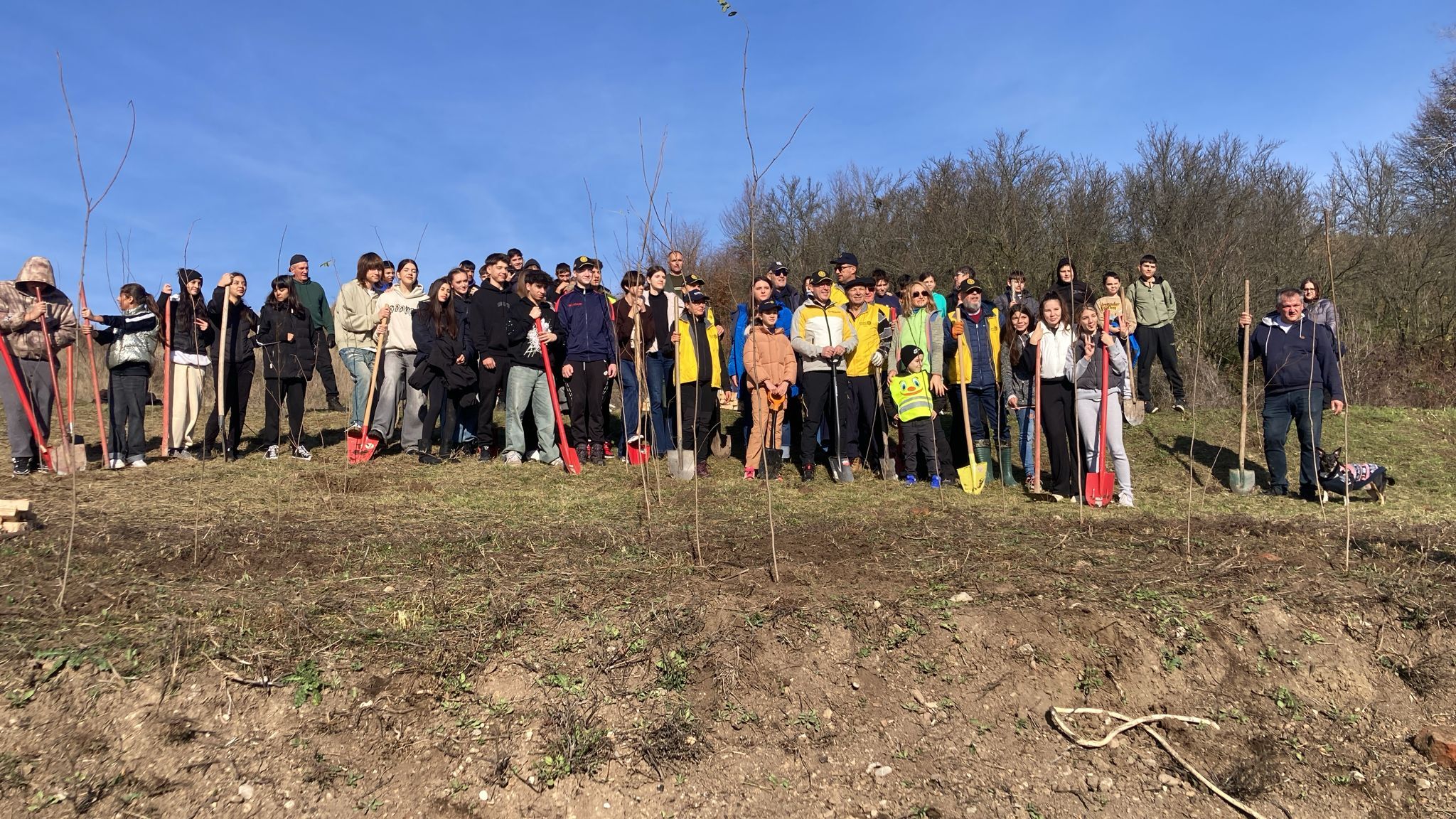 Acțiune ecologică în comuna Șotânga!